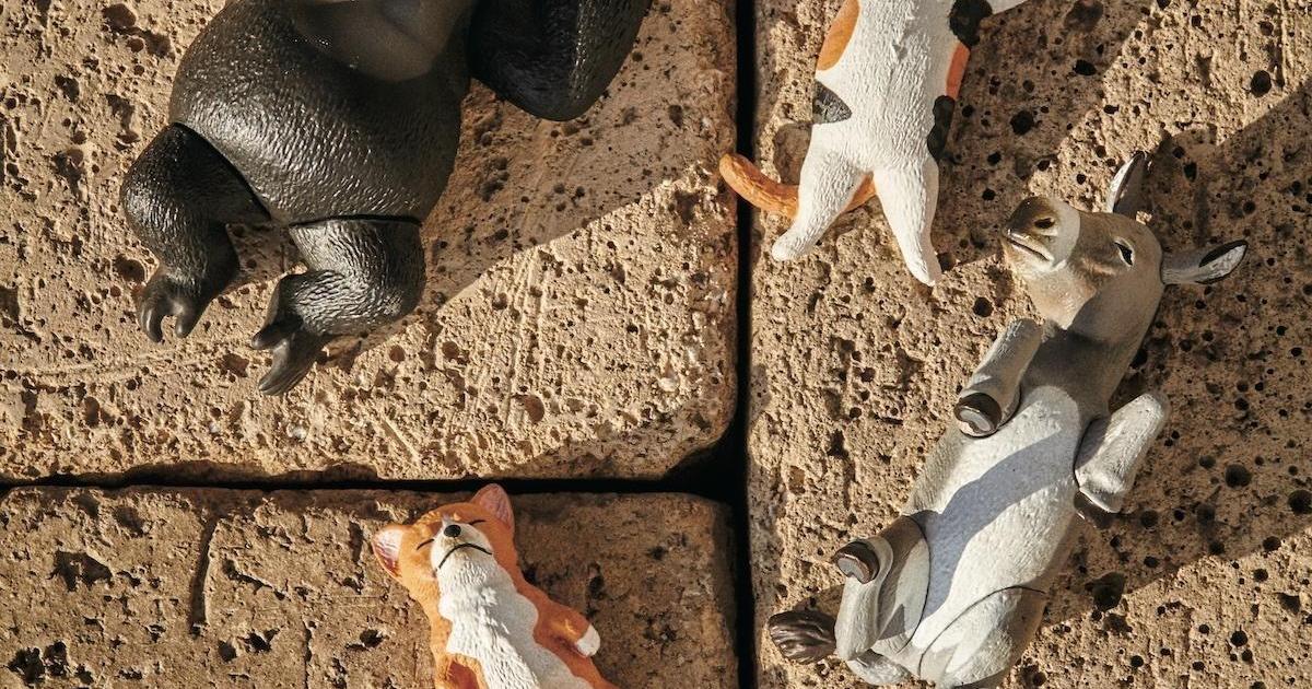 Capsule Toy Vending Machines: A Cultural Phenomenon in Japan | TOKYO ...