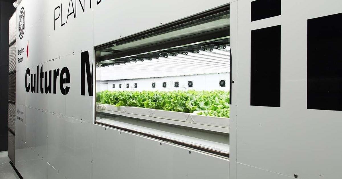 Tokyo to Become a Major Center for Plant Factories? | TOKYO UPDATES ...