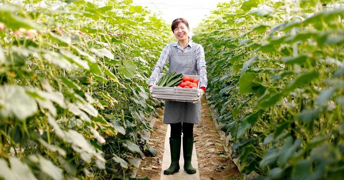 TOKYO NEO-FARMERS!, a New Coalition of Urban Farmers in Japan's Capital ...