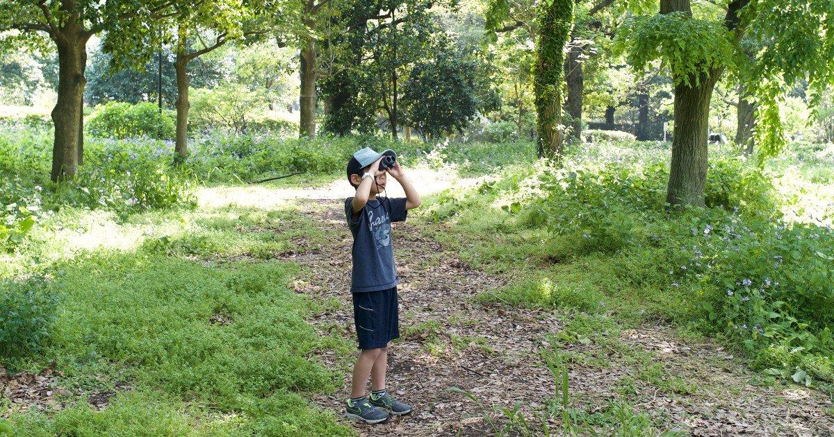 Correspondents' Eye on Tokyo:Tokyo Bird Walk—who Knew Japan's Capital ...