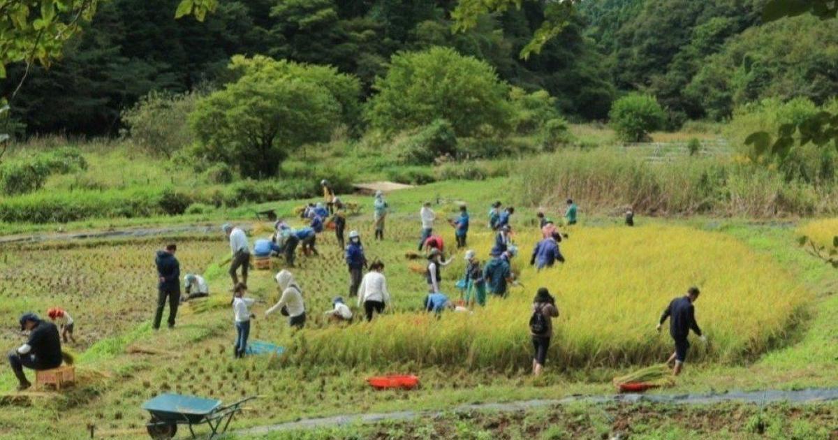 Tokyo's Satoyama Cultivate Connections with Nature | TOKYO UPDATES [The ...