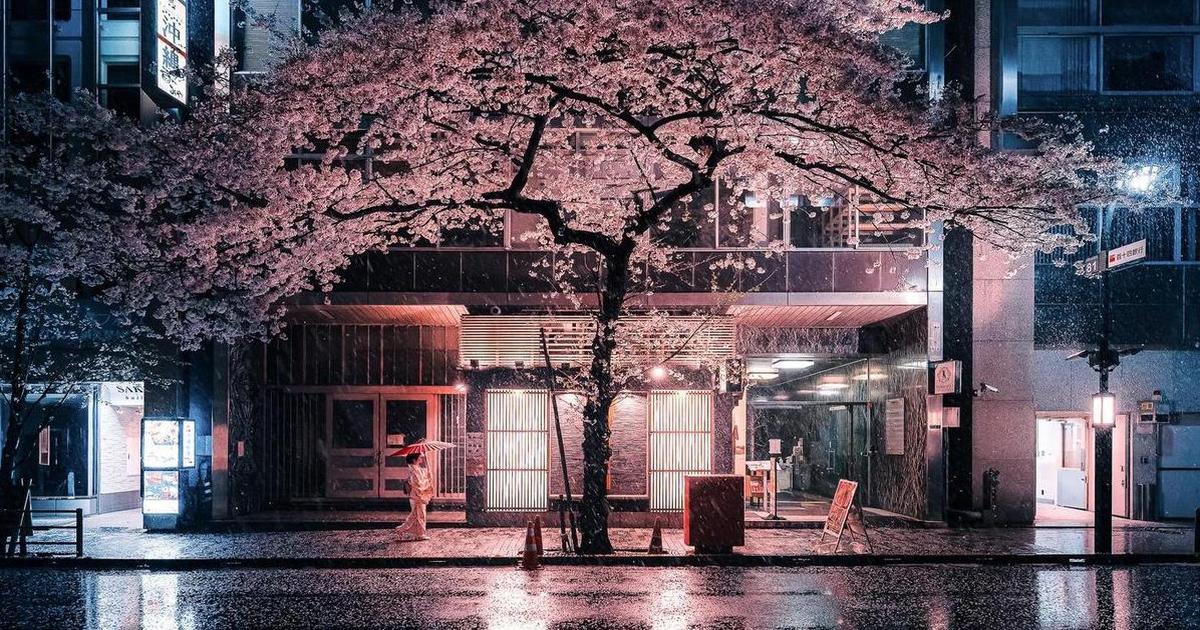 Ever-Changing Tokyo: A City of Night and Rain | TOKYO UPDATES [The ...